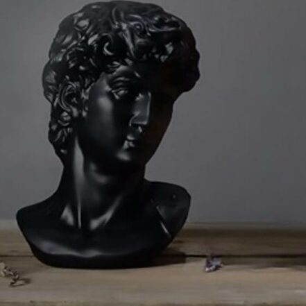 Statue de David en résine noire • Statue design